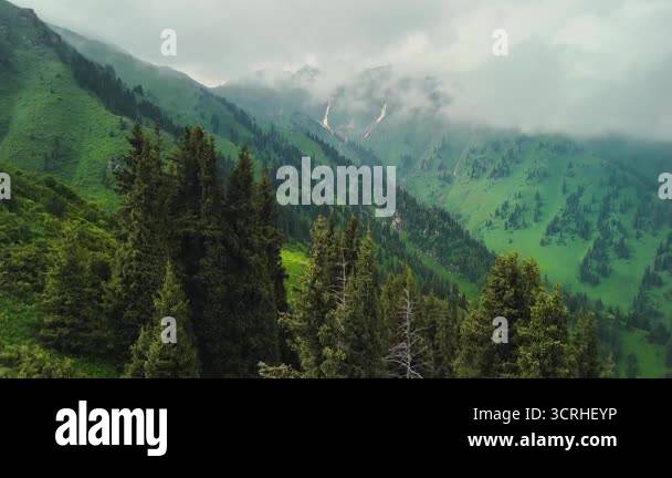 Beautiful aerial drone scenery of the green hills of the mountains with ...