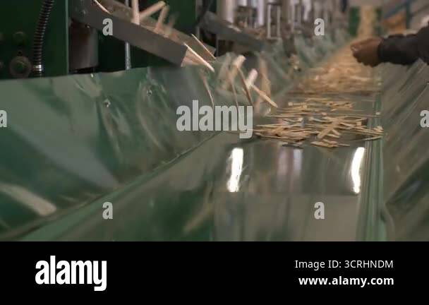 Factory worker removing defective ice cream sticks from conveyor belt ...