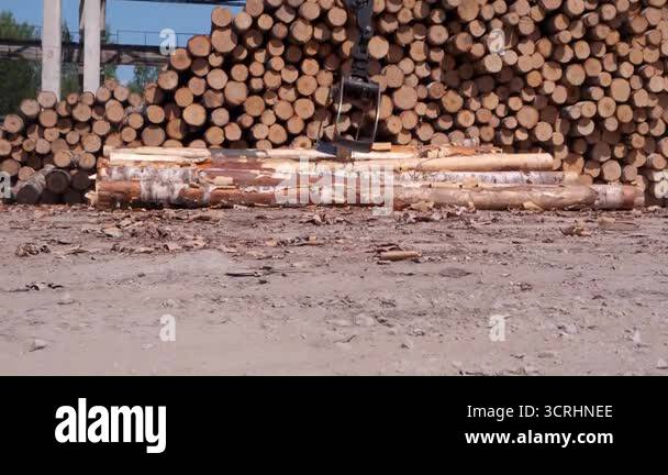Excavator moving logs from pile at lumber processing woodworking plant ...
