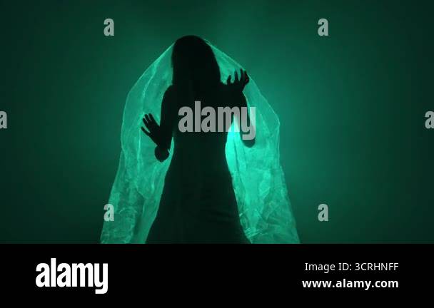 A dead bride, covered with a transparent veil, is illuminated by an ...