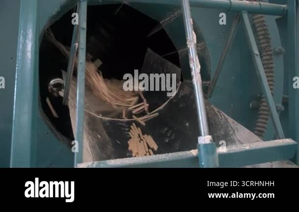 Ice cream wooden sticks falling to conveyor belt on woodworks factory ...