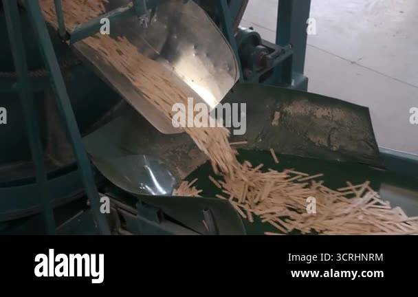 Wooden ice cream sticks pouring to moving conveyor belt in woodwork ...