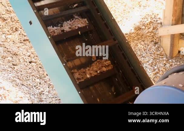 Wooden sawdust moving on conveyer transporter belt at woodworking plant ...