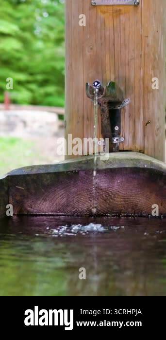 Fresh water cascades from a wooden spout into a rustic basin surrounded ...