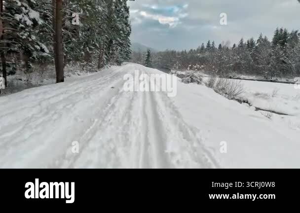 Back cross country skiing near small river, snow covered coniferous ...