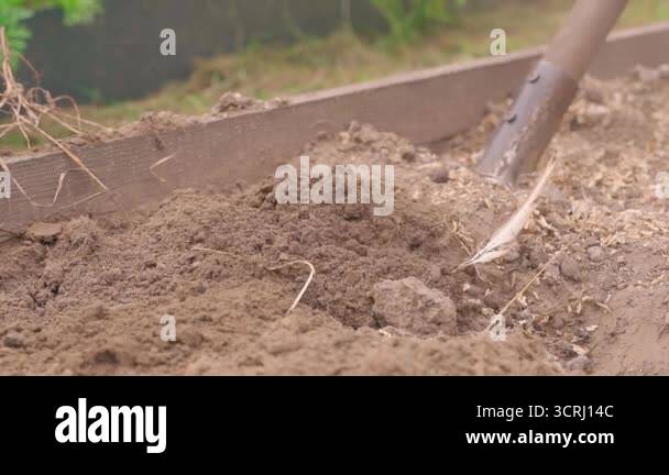 Soil garden bed being dug Stock Videos & Footage - HD and 4K Video ...