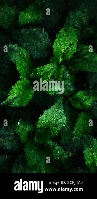Fragmented green leafed plants in triangular mosaic textures, abstract ...