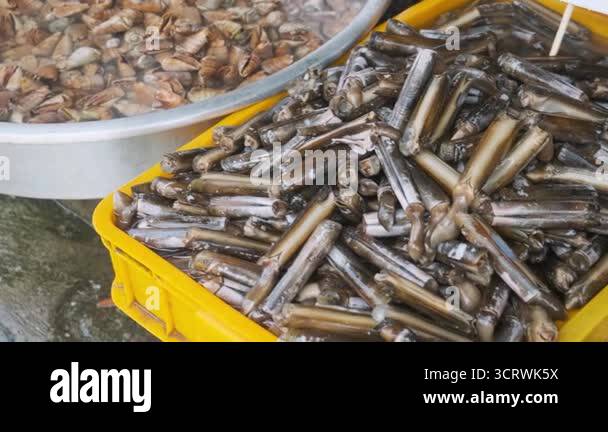 Fresh seafood on display at traditional Vietnamese seafood market ...