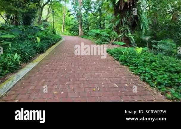 Yellow brick walkway Stock Videos & Footage - HD and 4K Video Clips - Alamy
