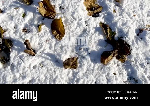 Snow on ground winter background Stock Videos & Footage - HD and 4K ...