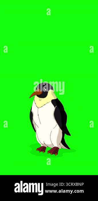 Emperor Penguin. Handmade 2D animated vertical HD looped footage isolated on green screen for ...