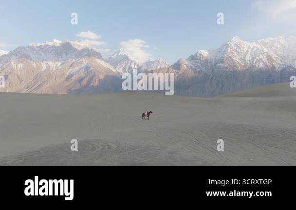 Aerial view of a solitary camel rider traversing the vast desert sands ...