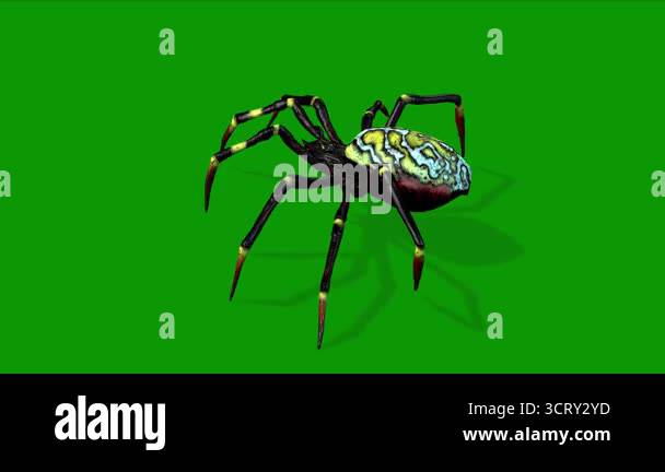 Realsitic Spider Attacking Scene 3D Rendering Animation On Green Screen ...