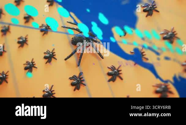 Scene Opening Showing Spider On Grid Teal Nodes Pulsing Blue Layer Expanding Visualizing Data