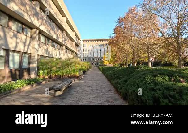 Pathway through park with trees and buildings Stock Video Footage - Alamy