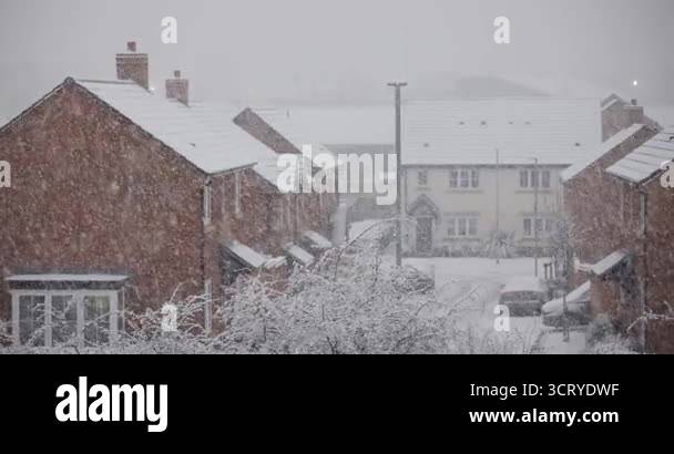 Cinematic slow motion shot of snow falling on a cold winter day in ...