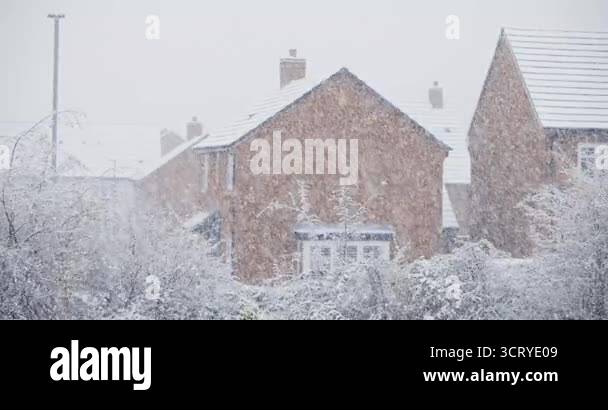 Cinematic slow motion shot of snow falling on a cold winter day in ...