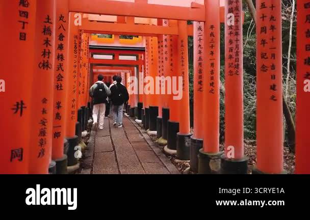 People walking under traditional Japanese torii gates Stock Video ...