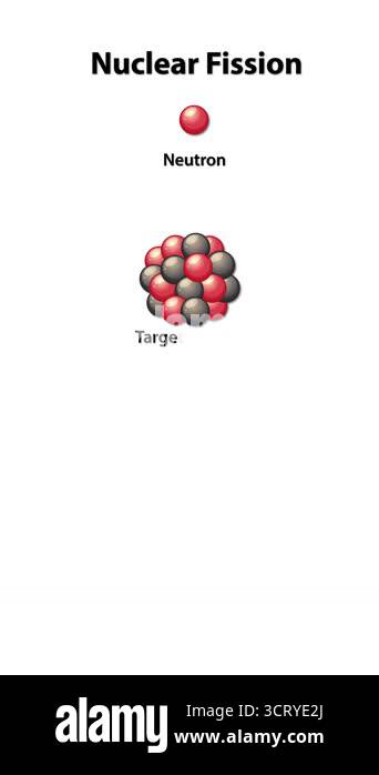 Animation illustrates nuclear fission with neutrons splitting a target ...