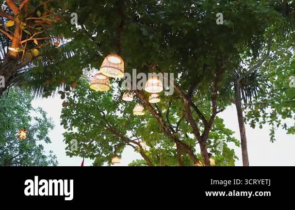 Cafe trees Stock Videos & Footage - HD and 4K Video Clips - Alamy