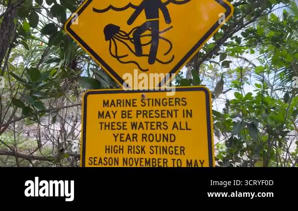 Marine stingers sign Stock Videos & Footage - HD and 4K Video Clips - Alamy