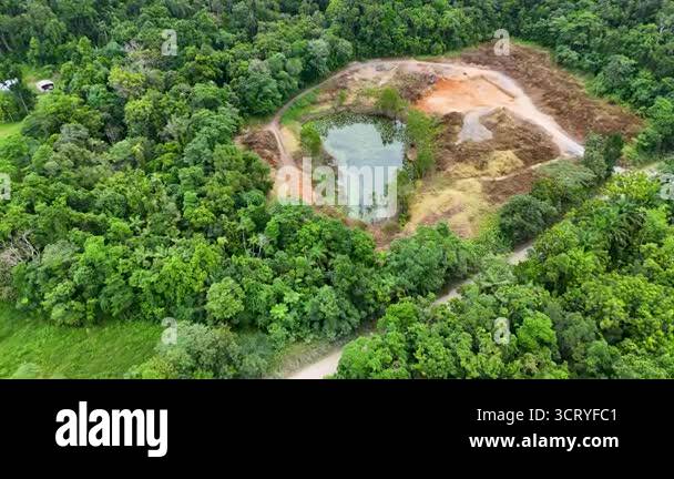 Drone footage captures deforestation and land clearing in lush ...