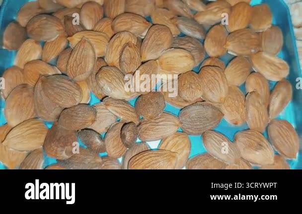 Metallic Tray of Shelled Almonds Inside Woven Basket Filled with Broken ...
