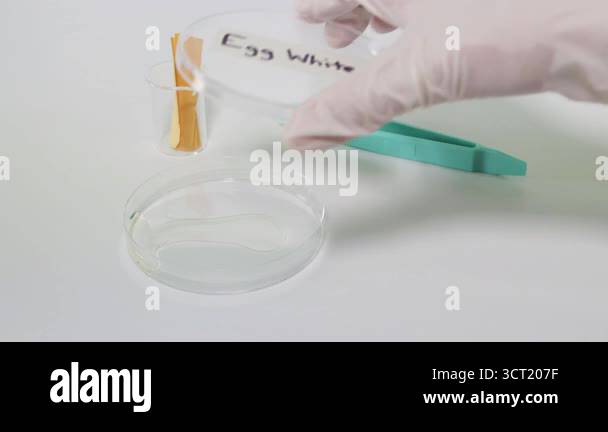 Litmus paper tests egg white pH Stock Video Footage - Alamy