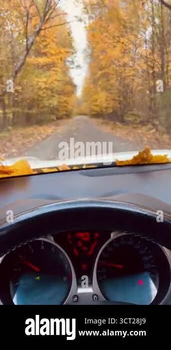 Falling autumn leaves on a car windshield while driving through a ...