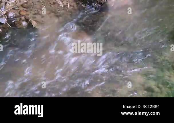 Rapid stream of clear water flowing over small rocks and a sandy bed ...