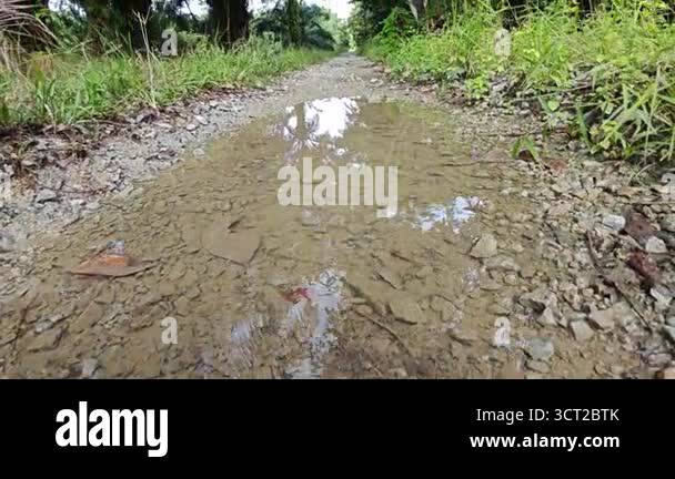 reflective pool of stagnant water after heavy rainfall on the rural ...