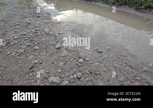 reflective pool of stagnant water after heavy rainfall on the rural ...