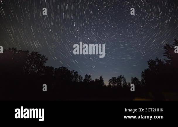 Night time lapse with star trails over forest. North Star surroundings ...