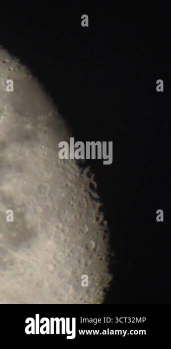 Vertical macro video pans slowly across the detailed, cratered surface ...
