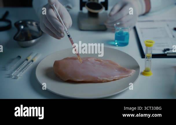 Food quality control concept. Lab assistant testing GMO chicken ...