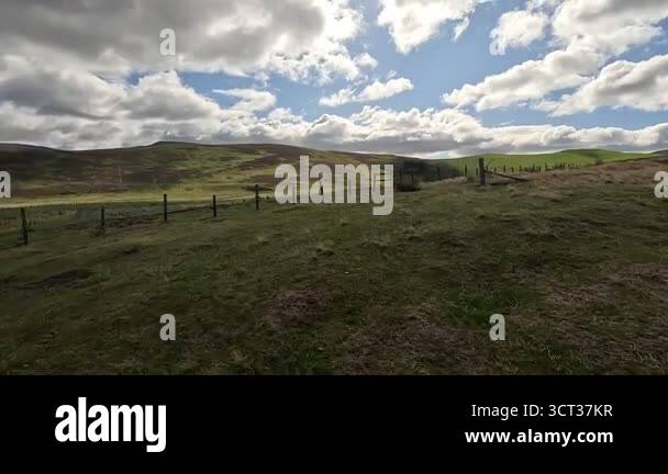 Hillwalker traversing upland moorland paths in the Lammermuir Hills of ...