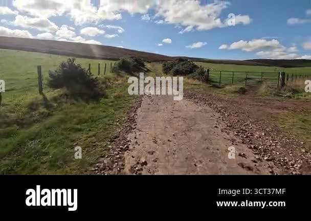 Hillwalker traversing upland moorland paths in the Lammermuir Hills of ...
