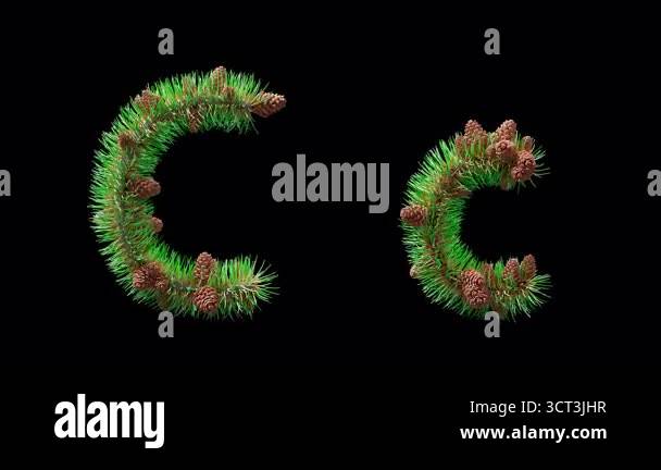 3D animation of uppercase and lowercase letter C designed from pine ...