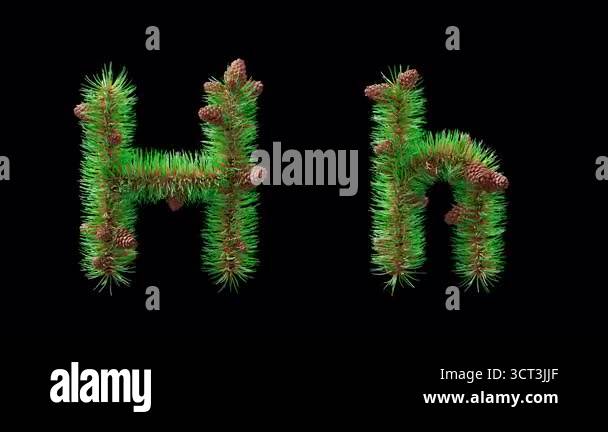 3D animation of uppercase and lowercase letter H shaped with pine ...
