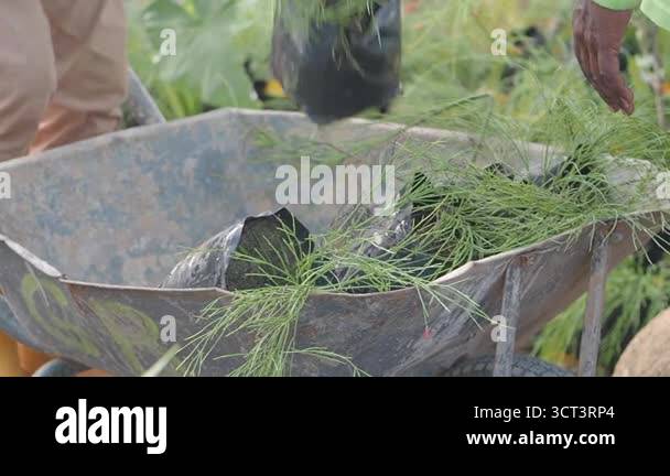 Filling plants Stock Videos & Footage - HD and 4K Video Clips - Alamy