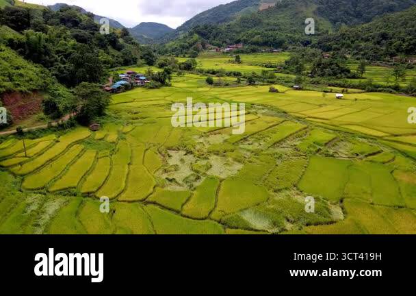 Beautiful rice terraces in philippines Stock Videos & Footage - HD and ...