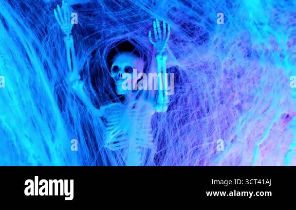 halloween wallpaper. Skeleton in the web in blue light. Screamer effect ...