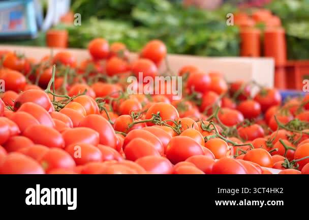Tomatoes on display farmers Stock Videos & Footage - HD and 4K Video ...