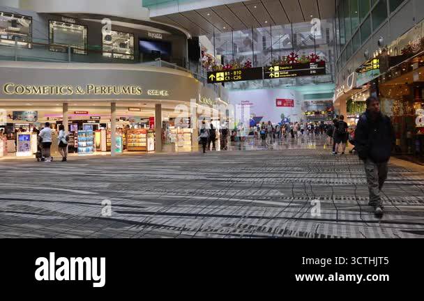 Crowded mall with shoppers walking and interacting Stock Video Footage ...