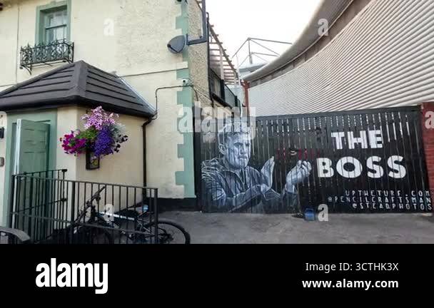 Mural art wall flowers Stock Videos & Footage - HD and 4K Video Clips ...