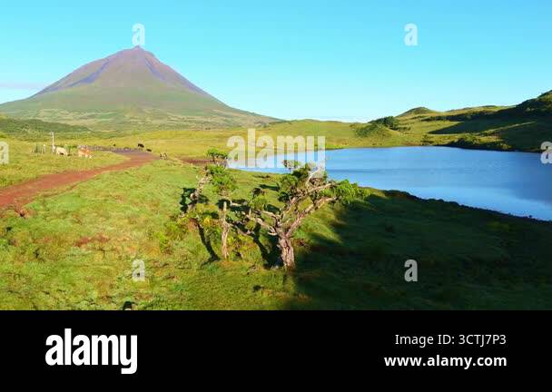 Mount Pico, Azores Juniper Trees and Lake Lagoa do Capitao in Sunny ...