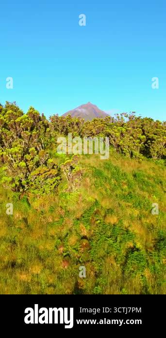 Mount Pico and Lake Lagoa do Capitao in Sunny Morning. Pico Island ...