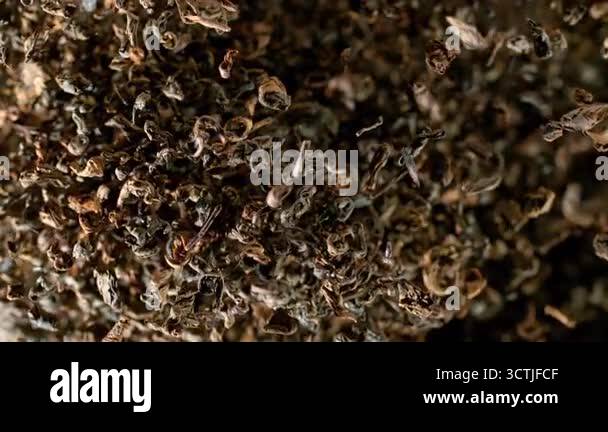 Super Slow Motion Shot of Flying Tea Mix Isolated on Black Background ...