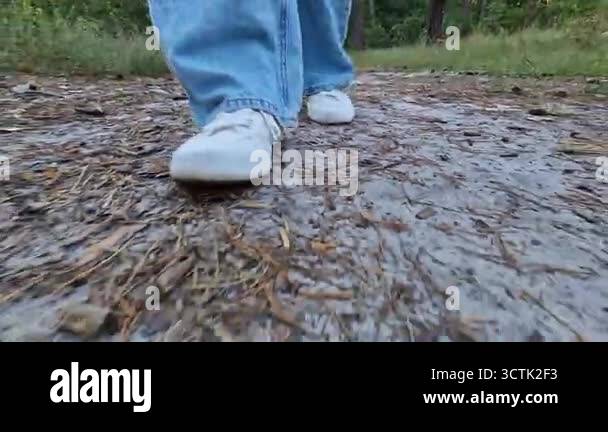 Close-up of female legs in white sneakers walking through the forest ...