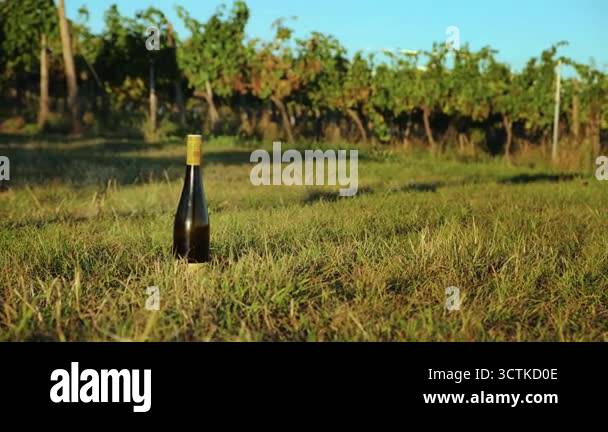 A wine bottle stands on the grass among Vienna vineyards as a man walks ...